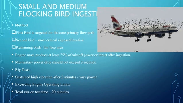 Engine Ingestion Test | PPTX