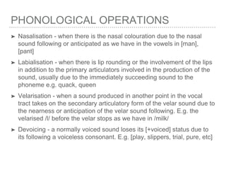 Engl 315 369 phonological processes | PPT