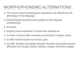 Engl 315 369 phonological processes | PPT