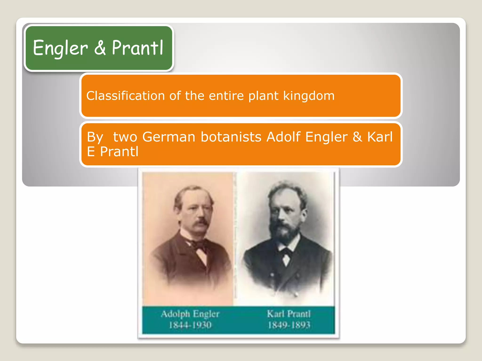 Engler and Prantl's system of Plant Classification | PPTX