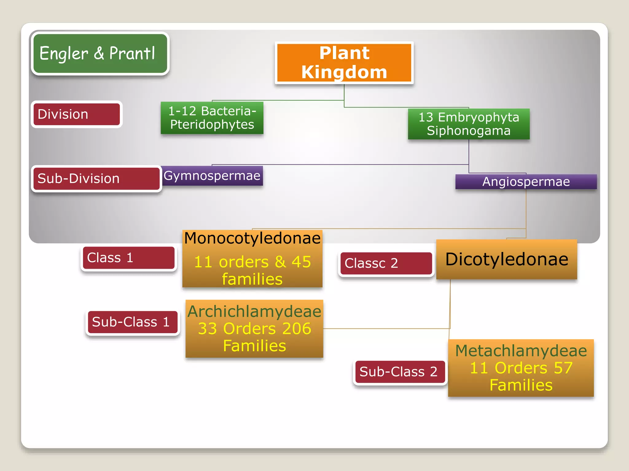 Engler and Prantl's system of Plant Classification | PPTX