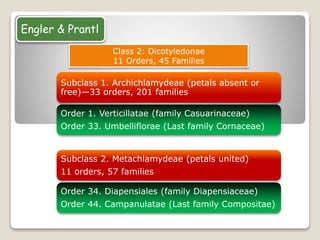 Engler and Prantl's system of Plant Classification | PPTX
