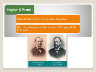 Engler and Prantl's system of Plant Classification | PPTX