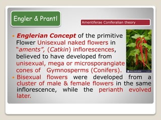 Engler and Prantl's system of Plant Classification | PPTX