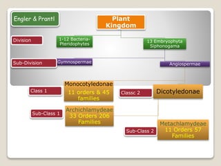 Engler and Prantl's system of Plant Classification | PPTX