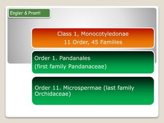 Engler and Prantl's system of Plant Classification | PPTX