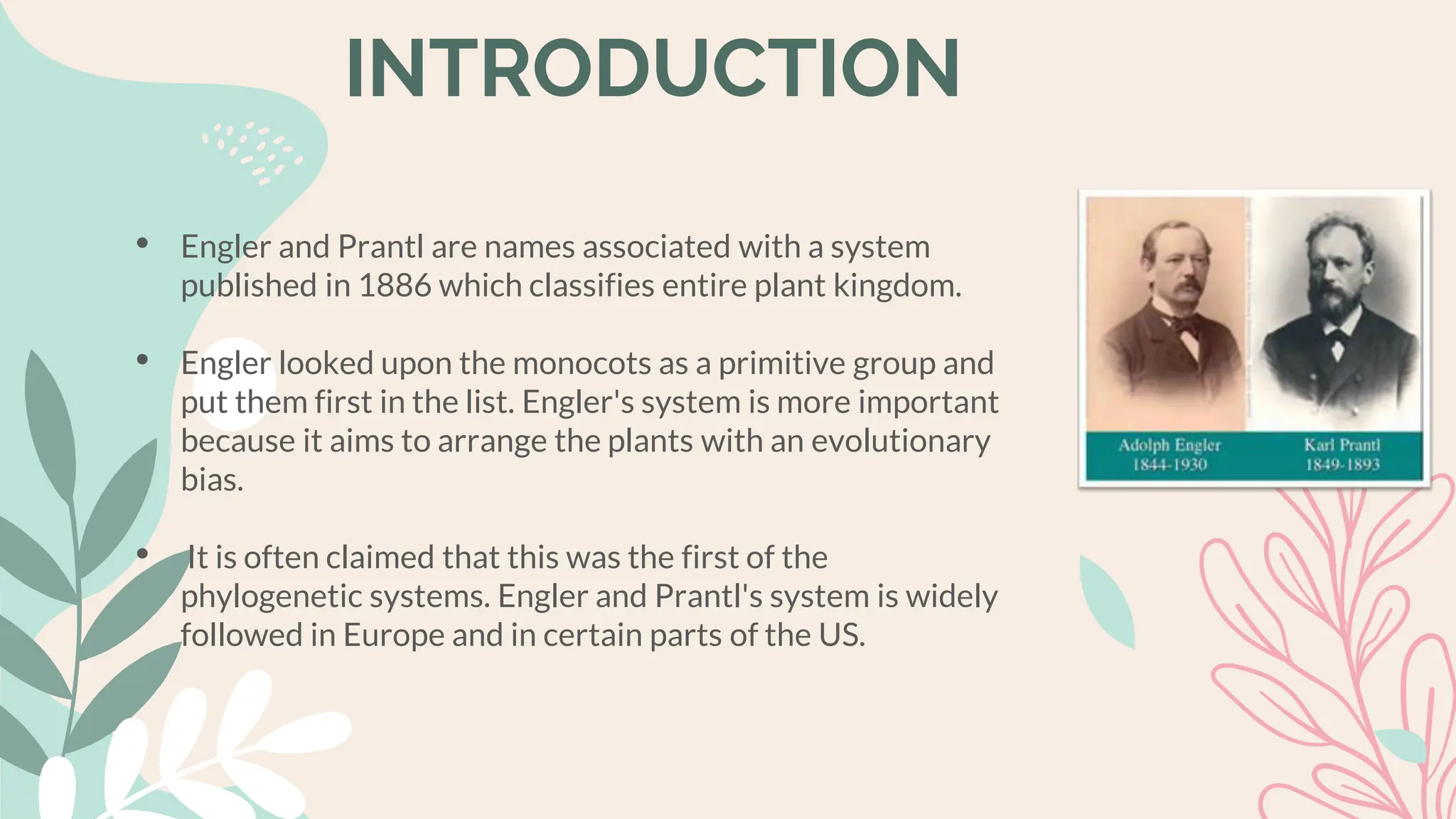 Engler And Prantl Classification.pdf | Gardening | Home & Garden