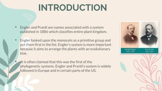 Engler And Prantl Classification.pdf | Gardening | Home & Garden