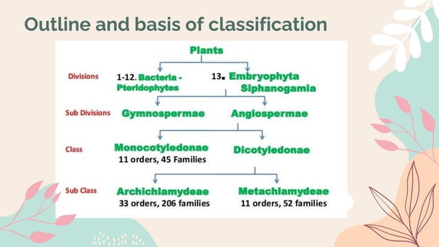 Engler And Prantl Classification.pdf