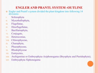 Engler and Prantl system of classification in plant taxonomy | PDF