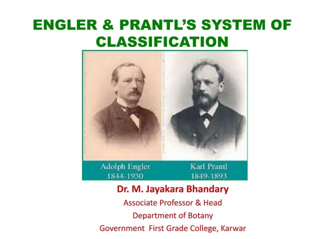 Engler & prantl system of classification | PPSX