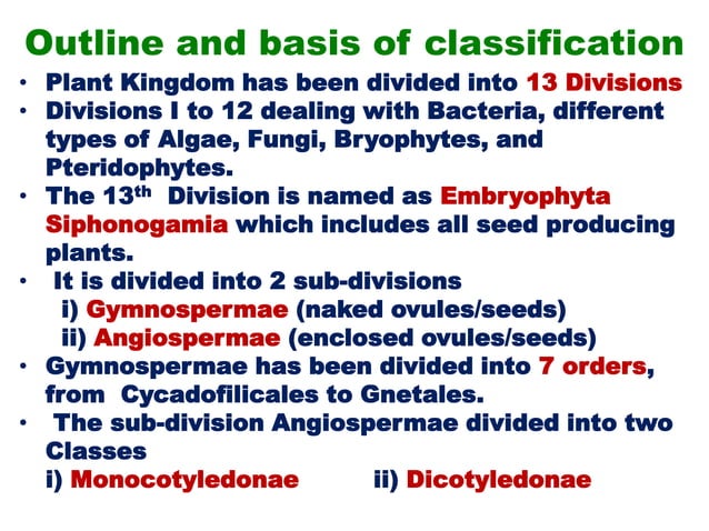 Engler & prantl system of classification | PPSX