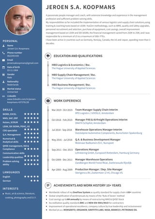 CV Jeroen S.A. Koopmans Logistics/Operations/SC Management | PDF