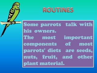 the world of parrots | PPTX