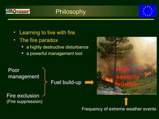 Fire Paradox | PPT