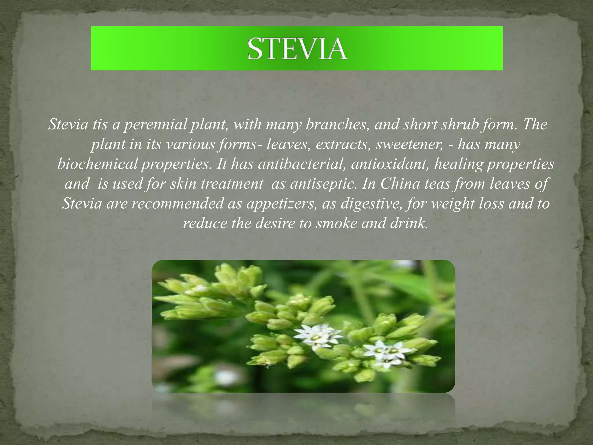 Greek Herbs, God's pharmacy | PPT