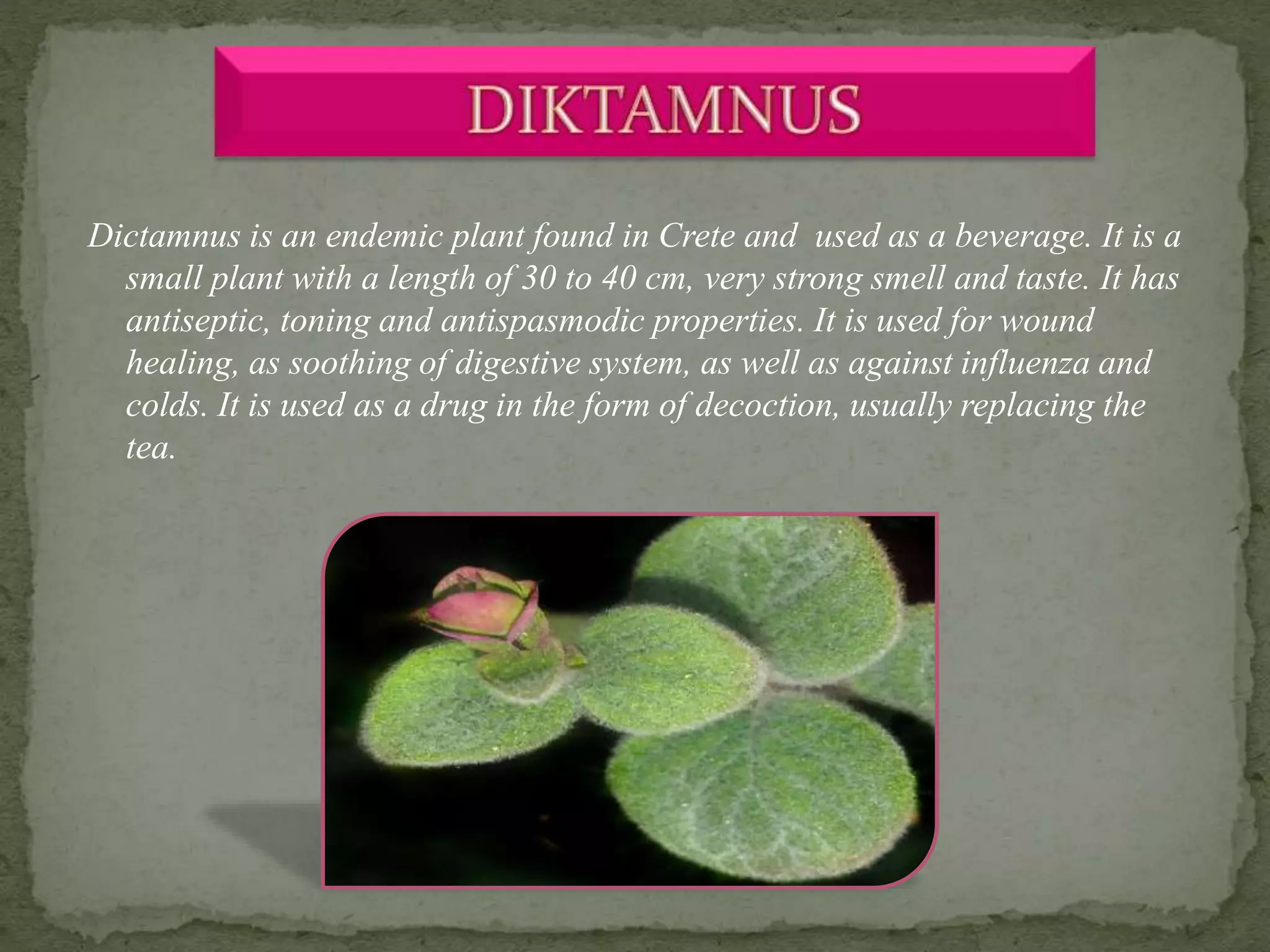 Greek Herbs, God's pharmacy | PPT