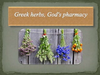 Greek Herbs, God's pharmacy | PPT