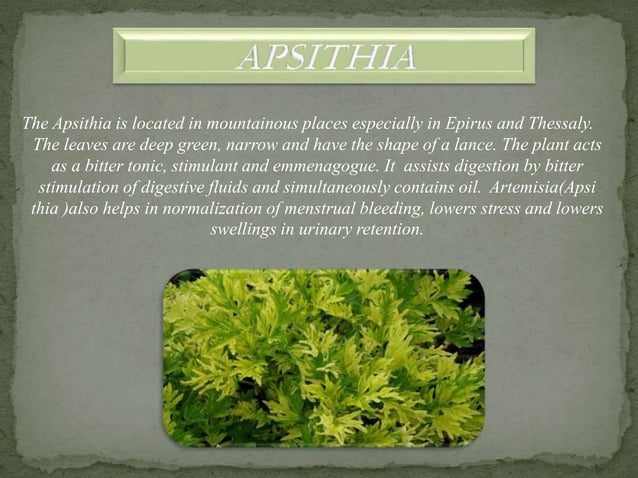 Greek Herbs, God's pharmacy | PPT