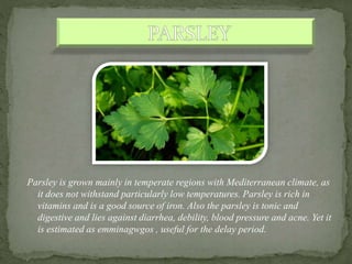 Greek Herbs, God's pharmacy | PPT