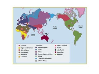 English and other European languages | PPTX