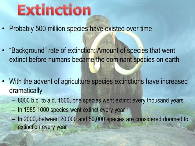 Extinction