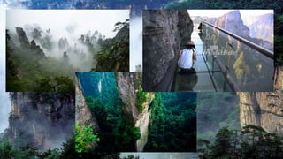 7 Amazing Natural Occurences | PPT