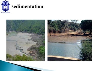 Sediment management in flood control dams | PPTX