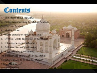 Effects Of Acid Rain On Taj Mahal