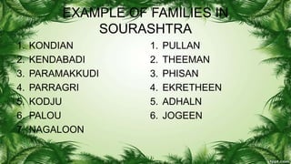 saurashtra | PPTX
