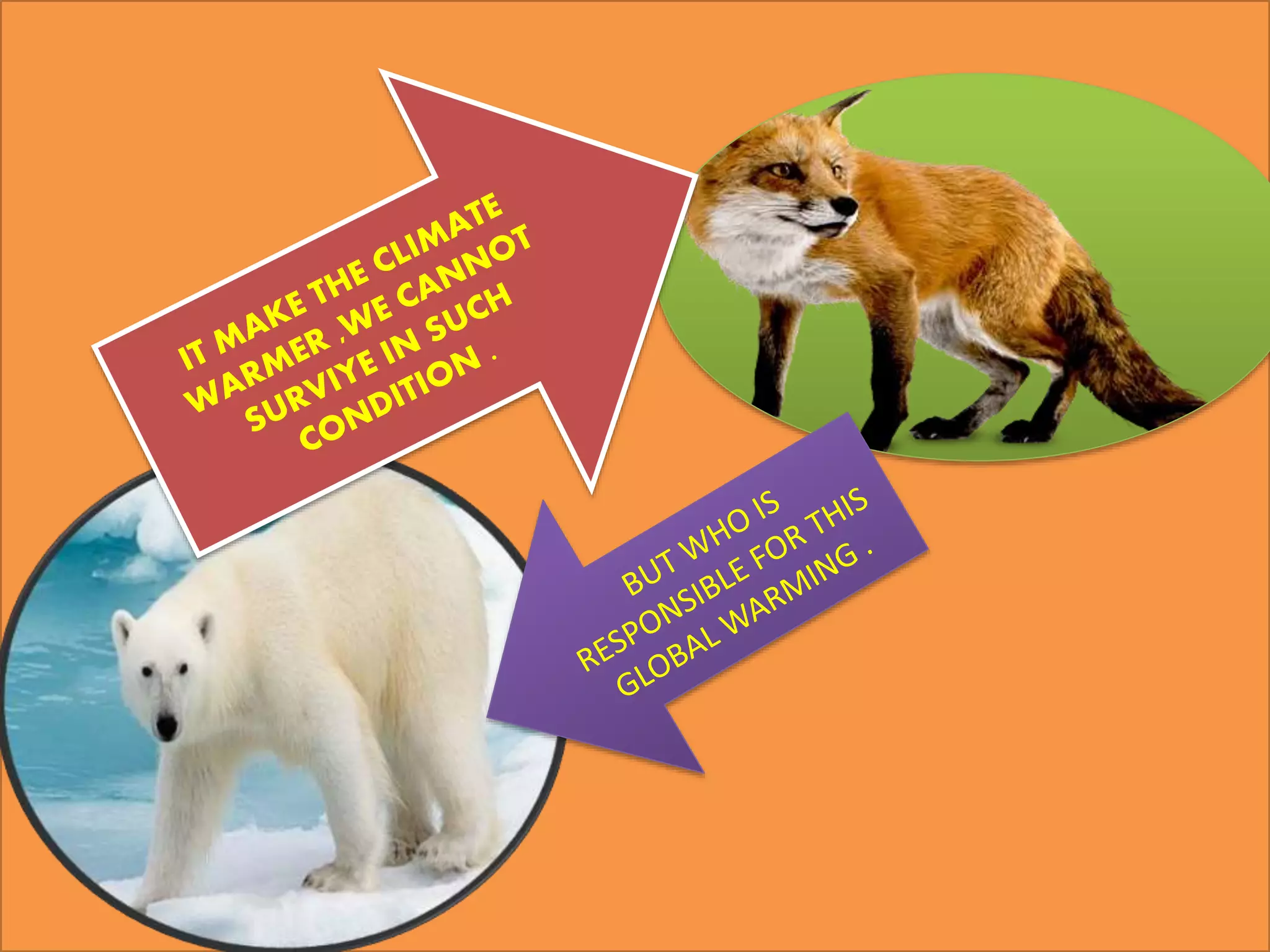 ANIMALS MEETING | PPT | Free Download