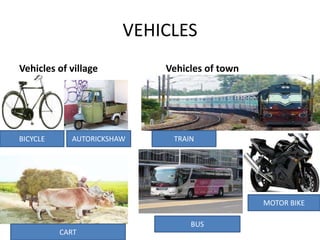 VEHICLES AROUND US | PPTX