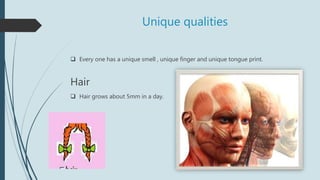 wonderful facts about human body | PPT