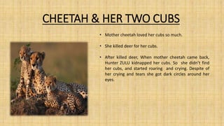 English | PPT