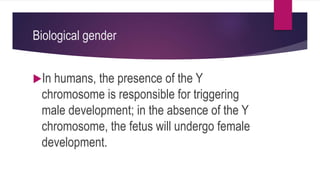 Gender equality and role of each gender.pptx