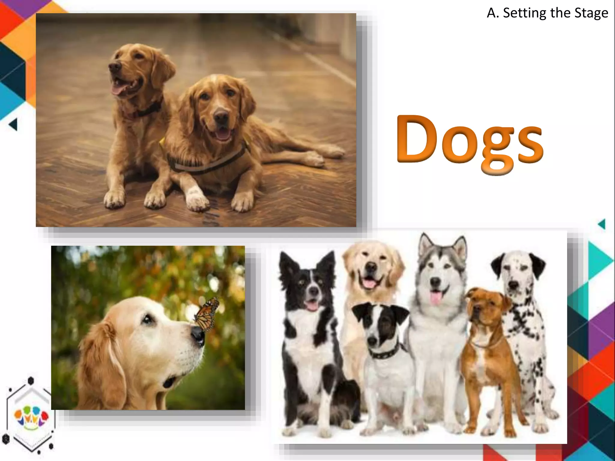 English 5-q2-week-7-make-generalizations-by-sir-rei-marasigan | PPSX
