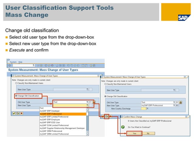 System Measurement Program SAP Basis Release 7.00