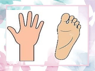 English- Body Parts presentation for the students | PPTX