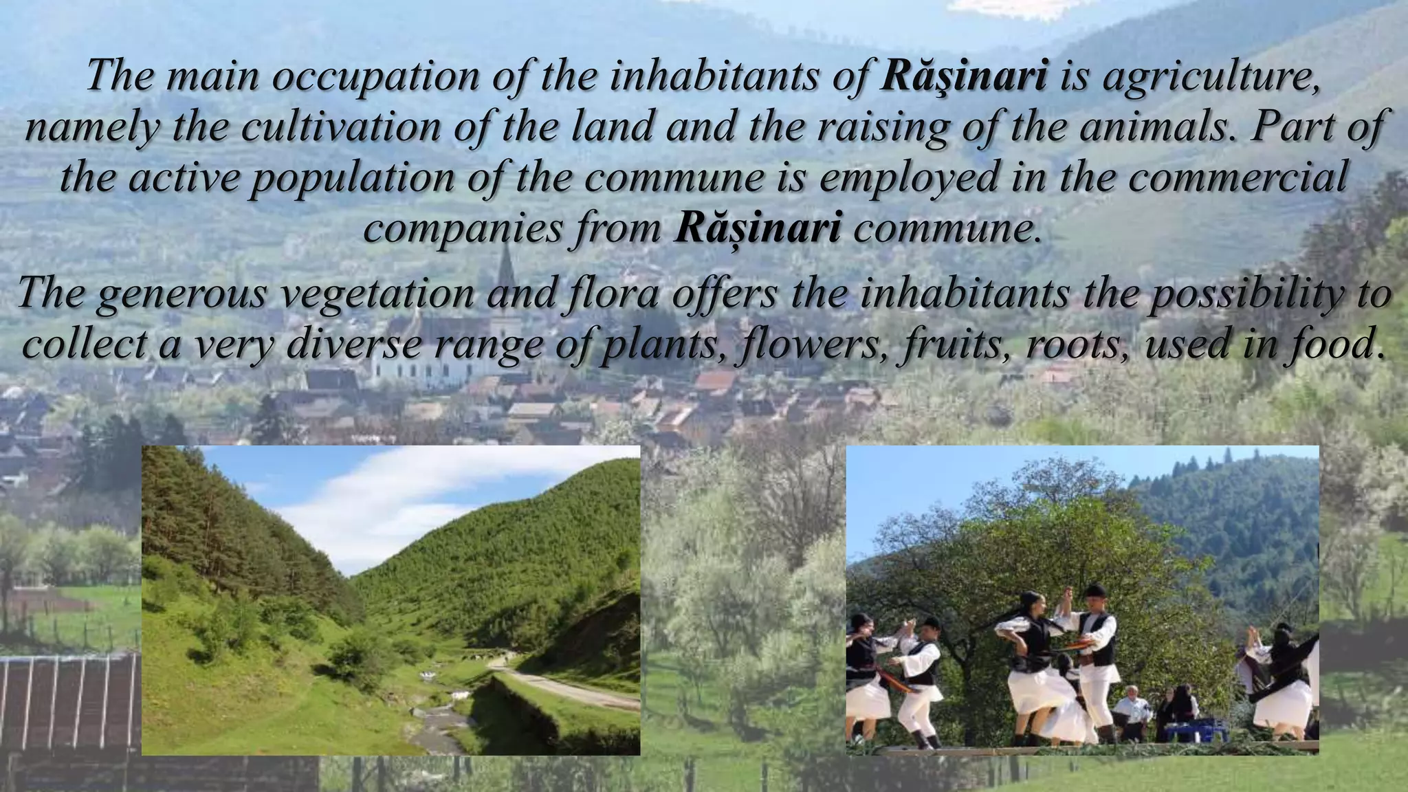 Rasinari Sibiu | PPT