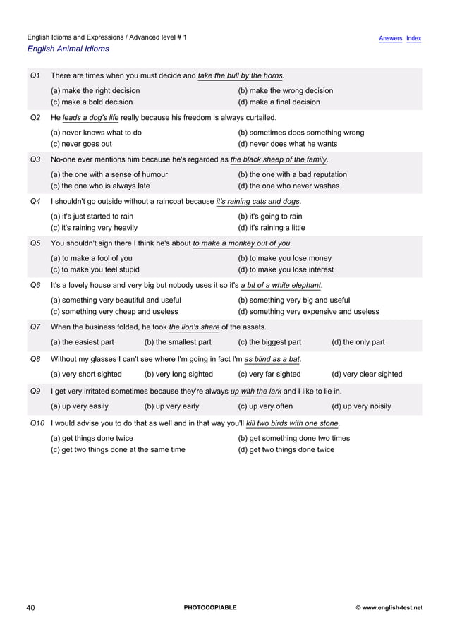 English Idioms Tests | PDF