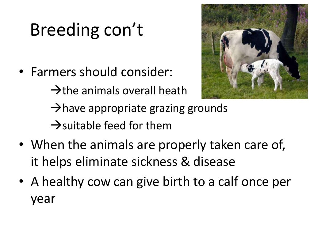 English Livestock assigned topic pres english-livestock-assigned-topic-pres