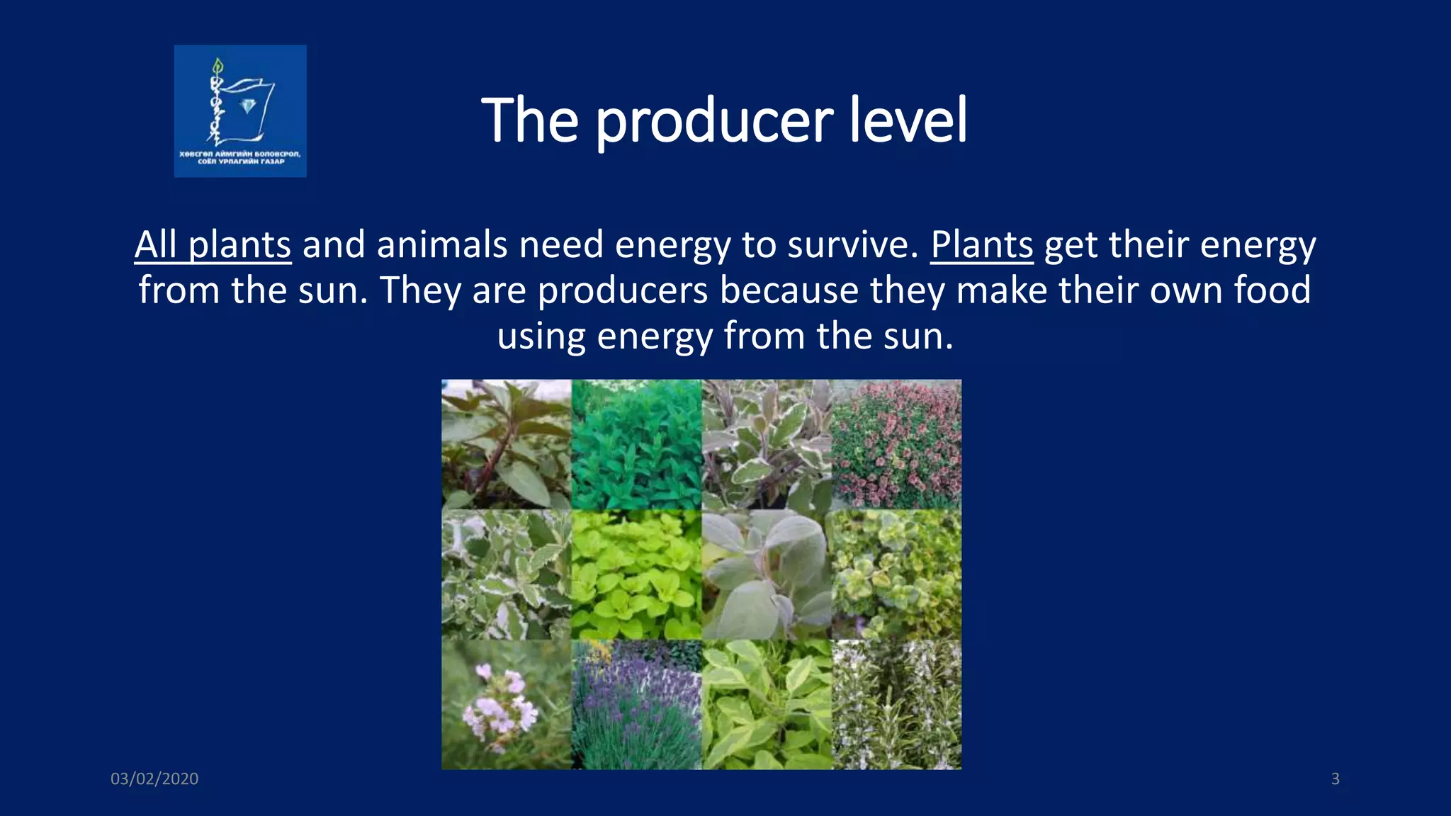 English online-lesson-11-erdmiin-dalai-2 | PPT