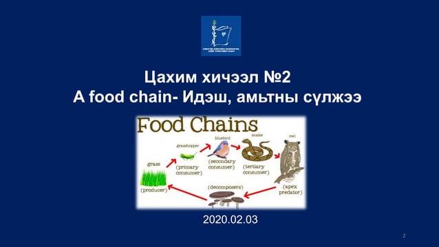 English online-lesson-11-erdmiin-dalai-2 | PPT