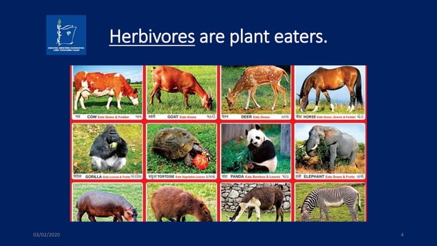 English online-lesson-11-erdmiin-dalai-2 | PPT