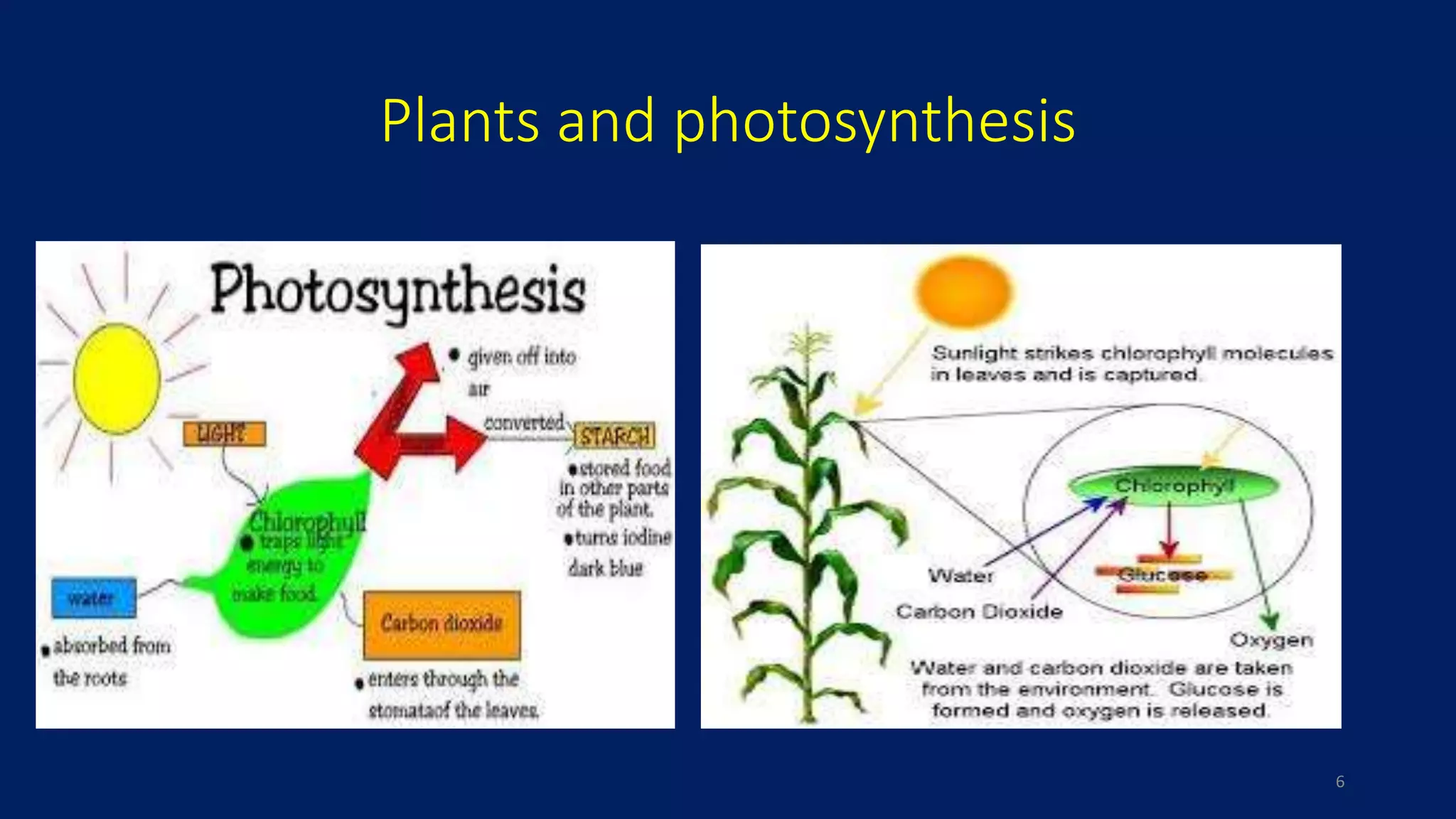 English online-lesson-11-erdmiin-dalai-3 | PPTX