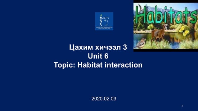 English online-lesson-11-erdmiin-dalai-3 | PPT