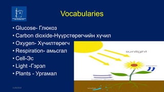 English online-lesson-11-erdmiin-dalai-3 | PPTX
