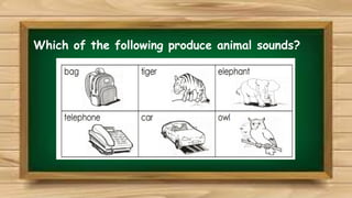 Animal Sounds Classification of Loud or Soft Sounds | PPT