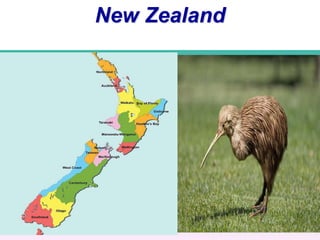 english-speaking-countries-presentation_157760.pptx