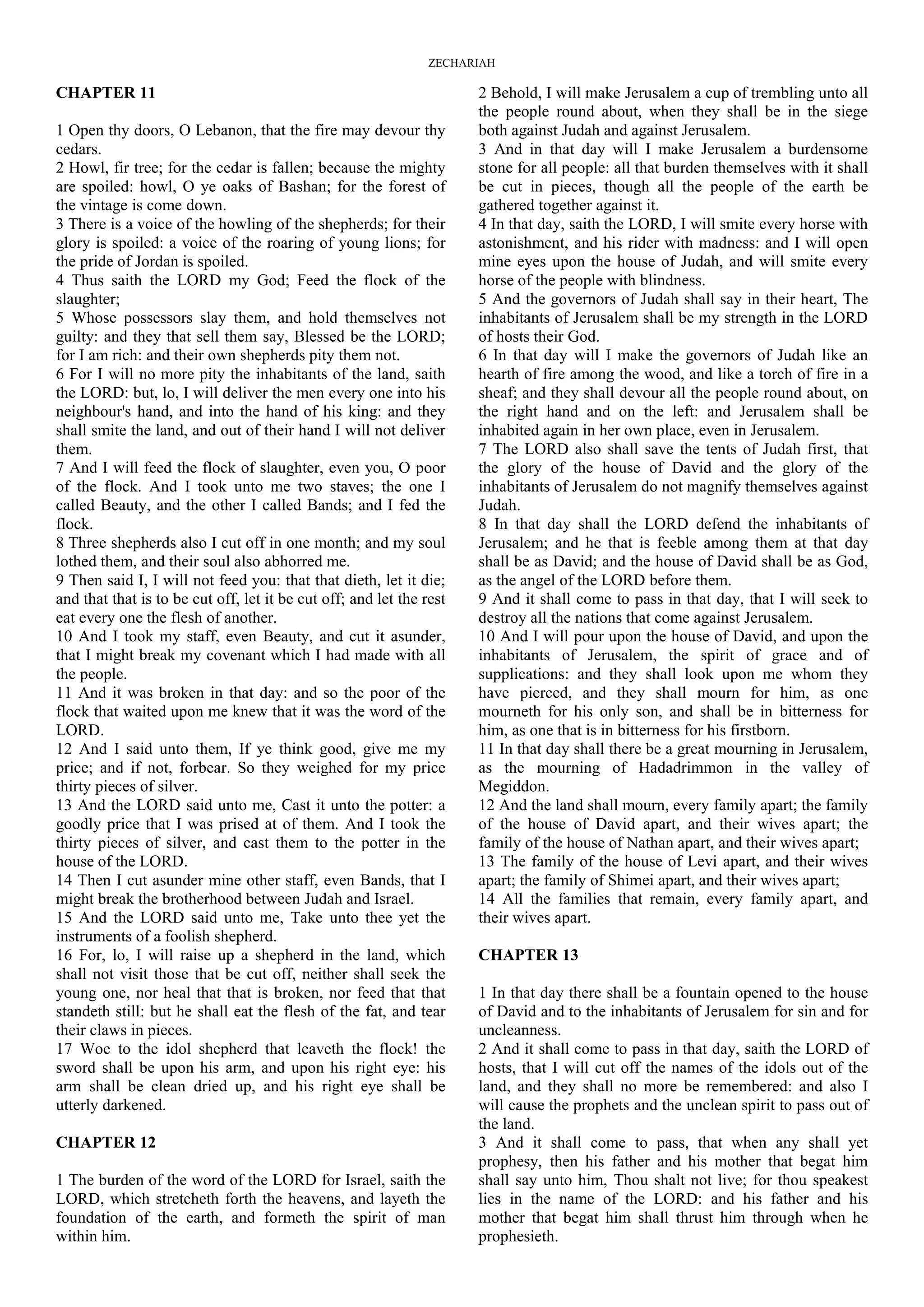 English - The Book of Prophet Zechariah.pdf